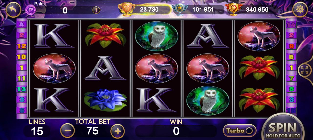 Top 5 Slots You Should Try in Lion King
