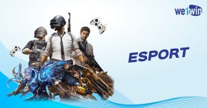 We1Win Casino: A Winning Play for Sports Betting Enthusiasts!