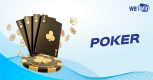 We1Win Casino: A Winning Play for Sports Betting Enthusiasts!